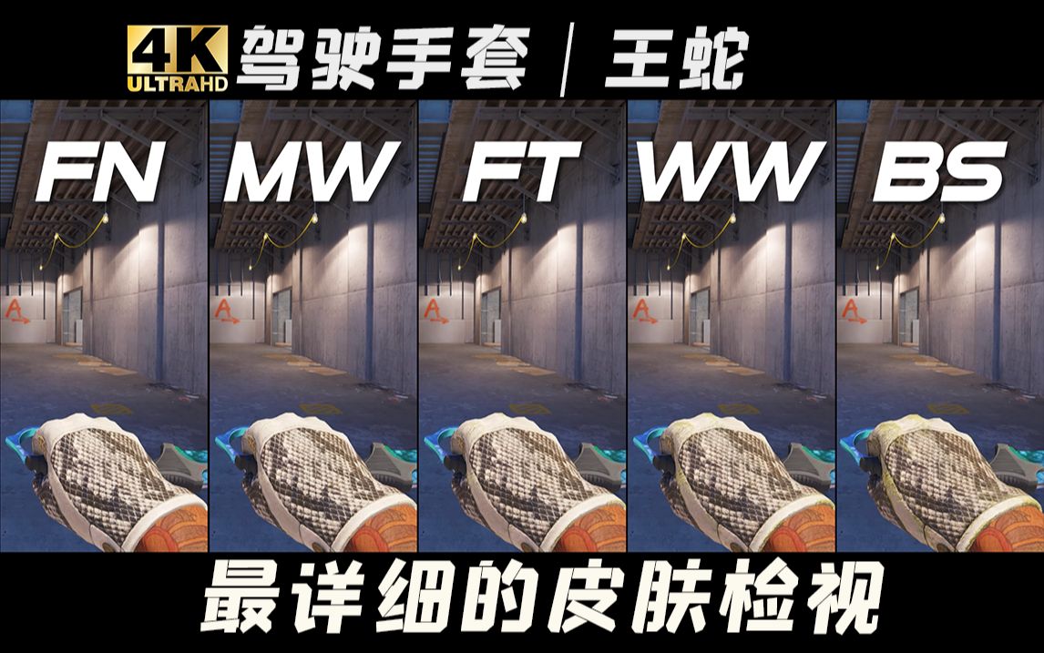 【CS2】起源2全网首发!驾驶手套 | 王蛇 全部磨损游戏中检视 |崭新 | 略...