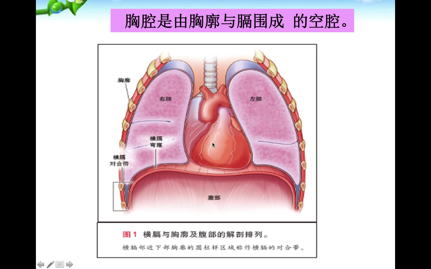 7下生物 三-2 发生在肺内的气体交换