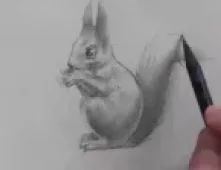 简笔素描教学:5分钟教你画一只松鼠,超简单!