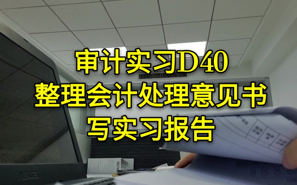 【审计实习D40】整理会计处理意见书丨写实习报告