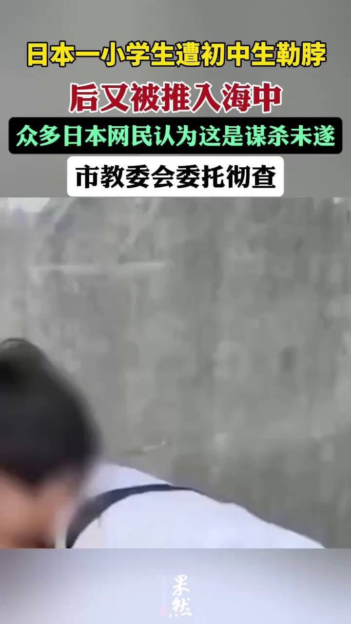 日本一小学生遭初中生勒脖又推入海