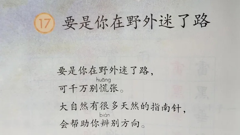 二下《要是你在野外迷了路》