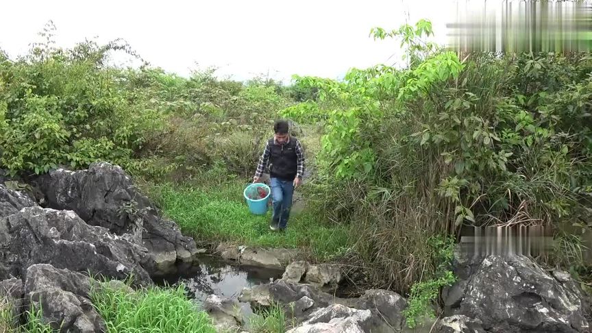 小莫制作的自动钓鱼神器,鱼一咬钩就别想跑,收获太棒了!