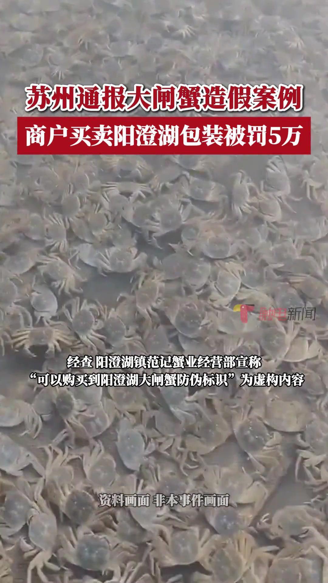 ...苏州市监局公布大闸蟹"造假"典型案例,涉及以次充好、虚假广告等...