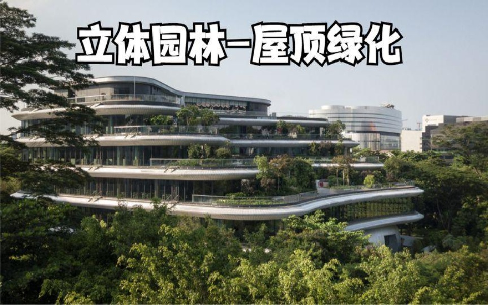 2分钟带你走进屋顶绿化的世界