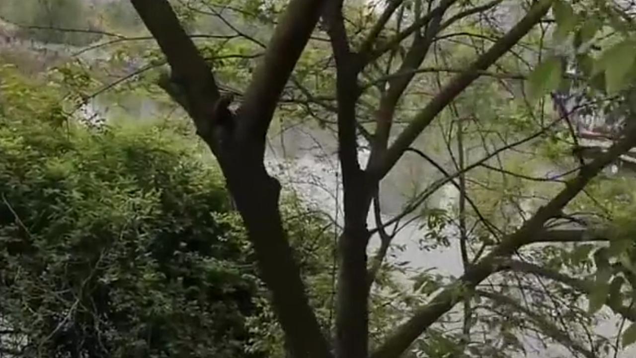 骑行哈啰单车去公园广场转转