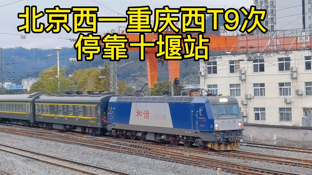 北京西到重庆西T9次列车准点停靠十堰火车站,首都始发列车就是快