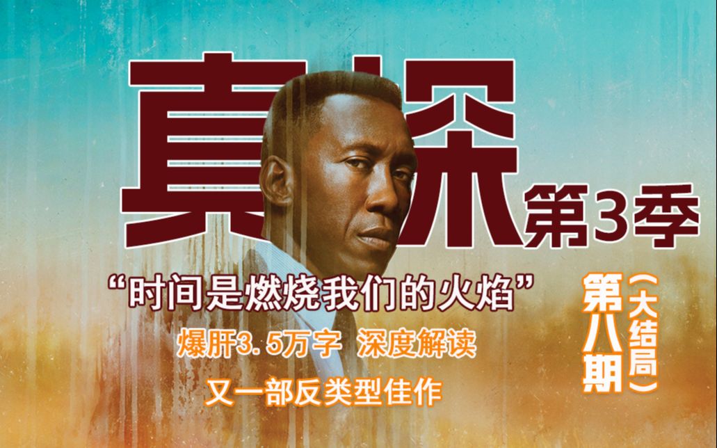 【刑警双雄】高分探案剧 《真探》第三季深度解说第8期(大结局):“...