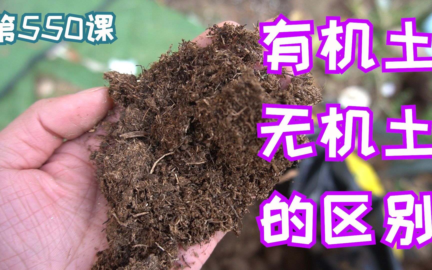 养花选土很重要,了解有机土和无机土的区别,施肥事半功倍
