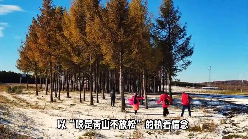 塞罕坝如何逆袭成全球最大人工林种48亿棵树价值超千亿!