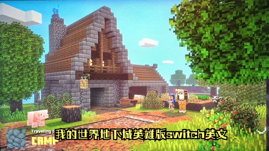 我的世界地下城英雄版全英文switch大结局