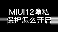 MIUI 12隐私保护怎么开启、查看、使用?
