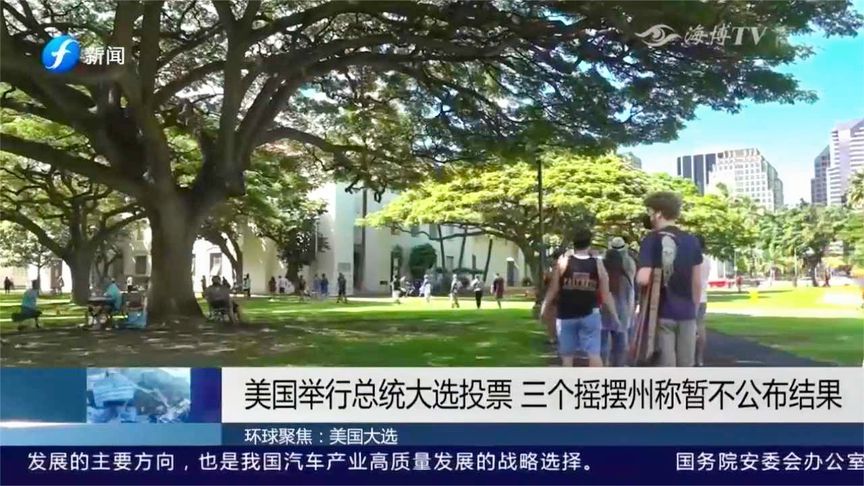 美国举行总统大选投票,三个摇摆州称暂不公布结果|环球报道
