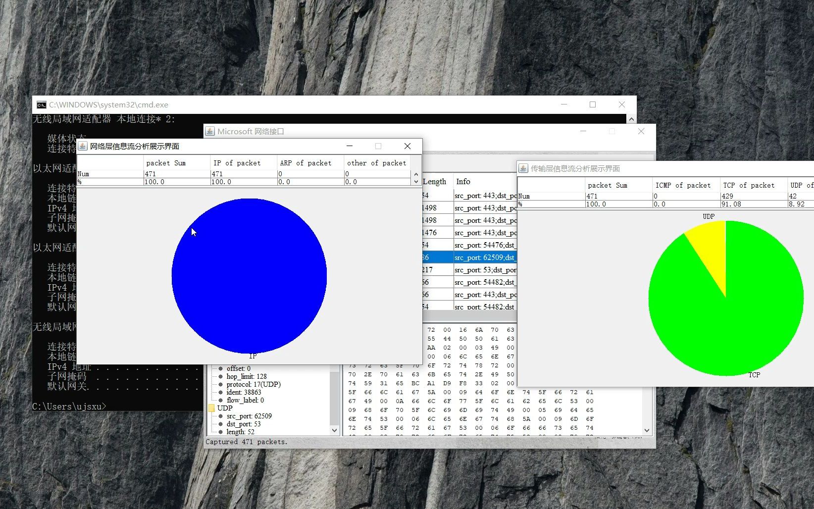 仿wireshark网络分析器功能展示