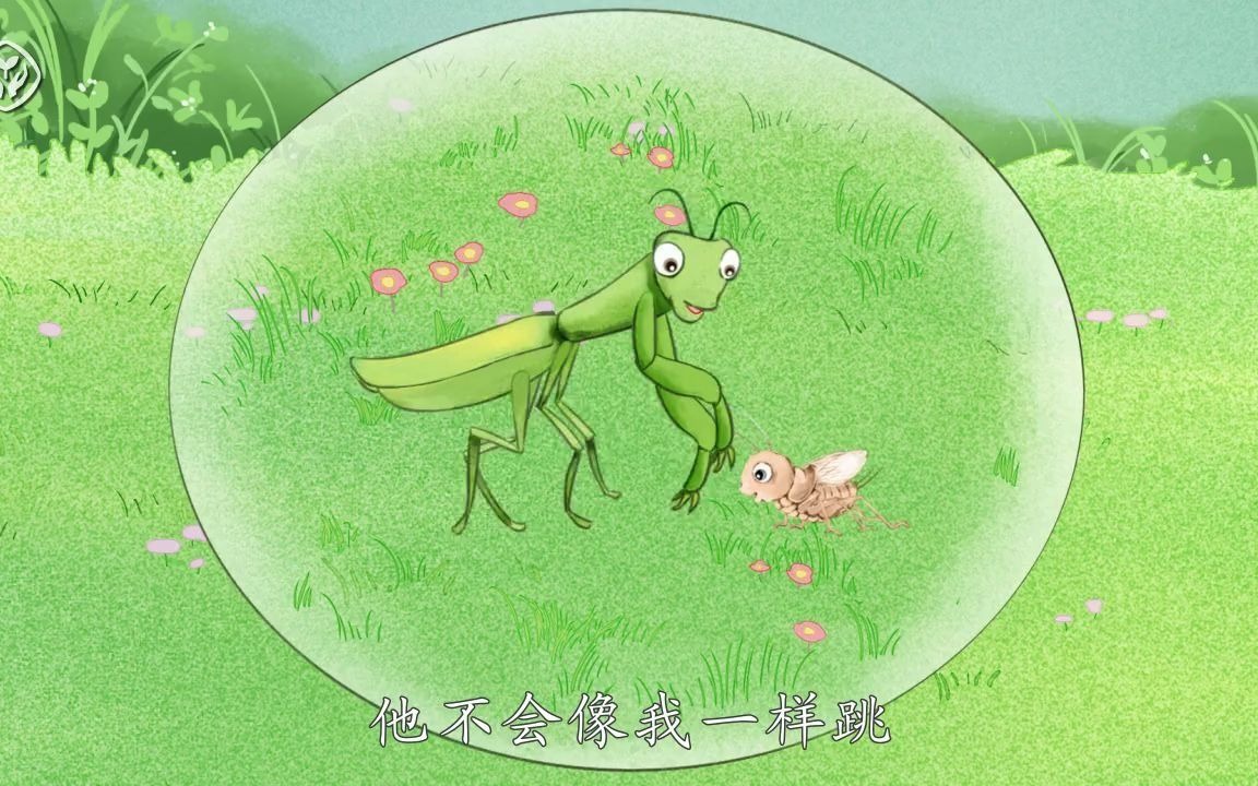 我是一只小虫子 动画