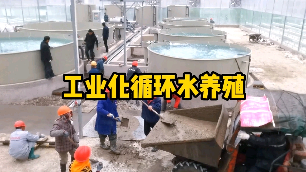 鱼菜高带你了解现代设施渔业工厂化循环水养殖的发展