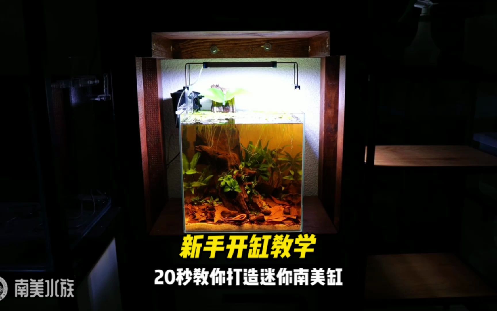 新手开缸造景教学,20秒教你打造迷你南美缸