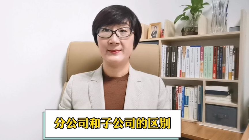 分公司和子公司有哪些区别呢？