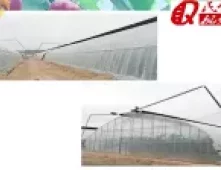 想要种好樱桃,大棚温度十分重要,专家教你怎么建大棚