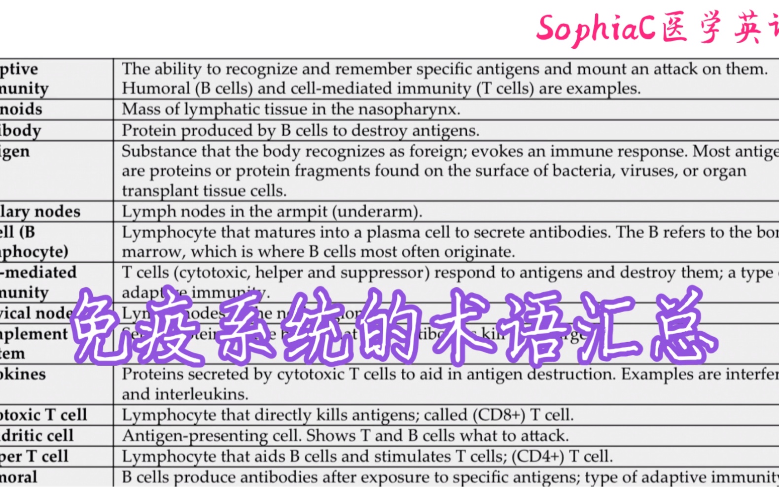医学英语|免疫系统的医学术语汇总
