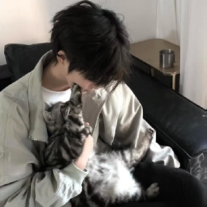 爱玩电脑的win12 