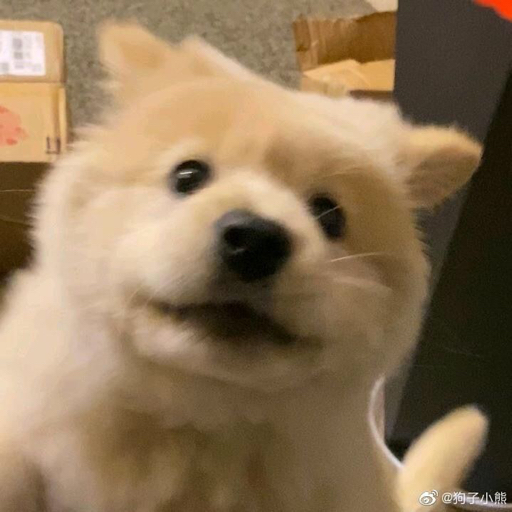 花开春自来 