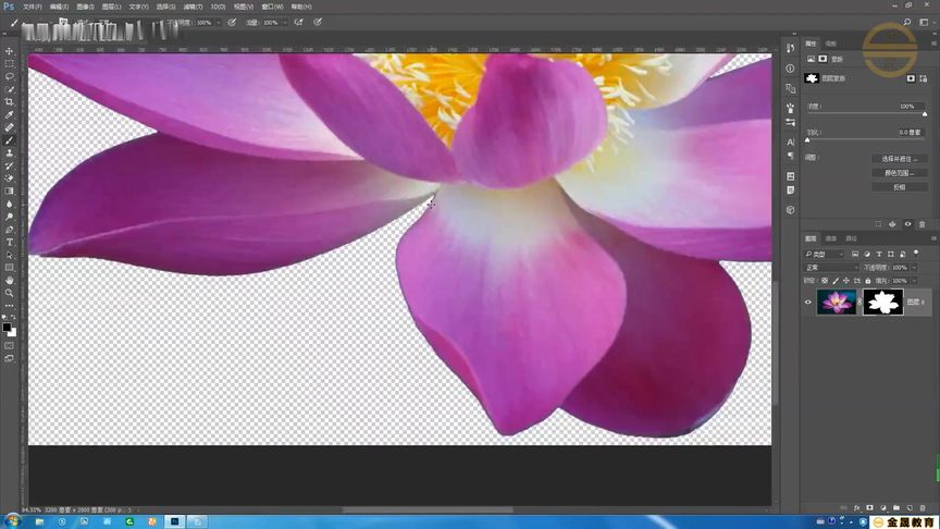 0047.【PS】基础入门教程-利用蒙版进行抠图