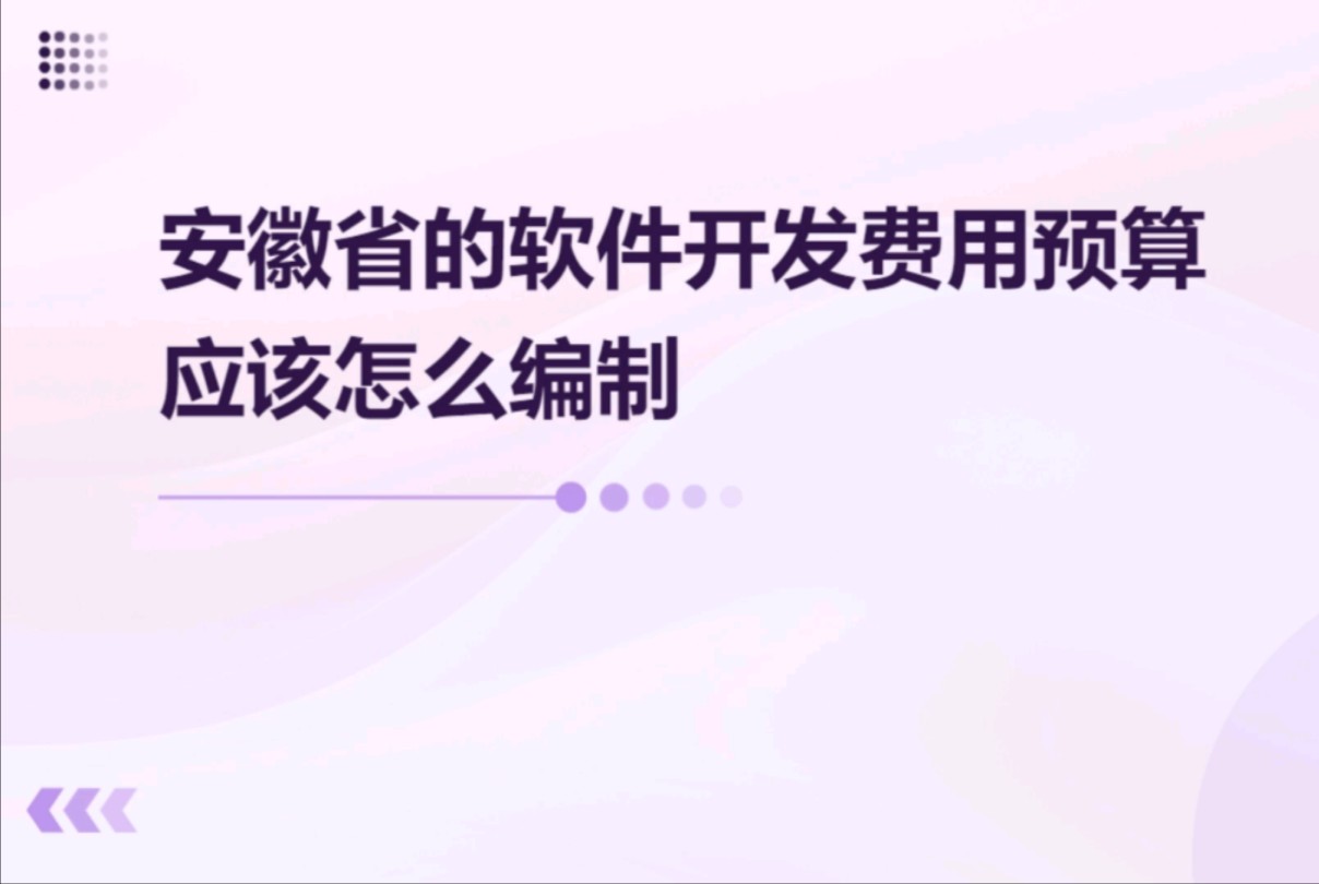 【实操指导】安徽省的软件项目预算编制#预算 #软件开发#软件造价