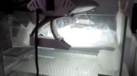 ATS系统DIY