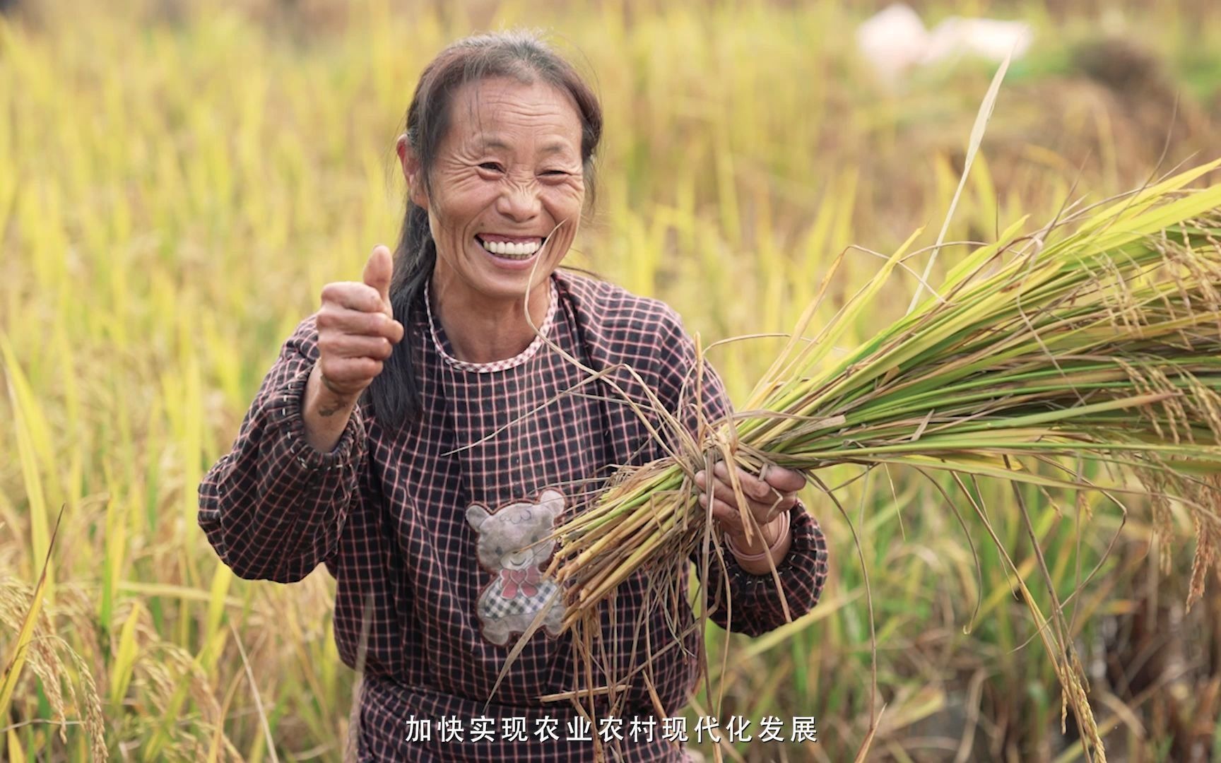 《清远市乡村振兴志愿服务行动宣传片》。到乡村去,到基层去,到党和...