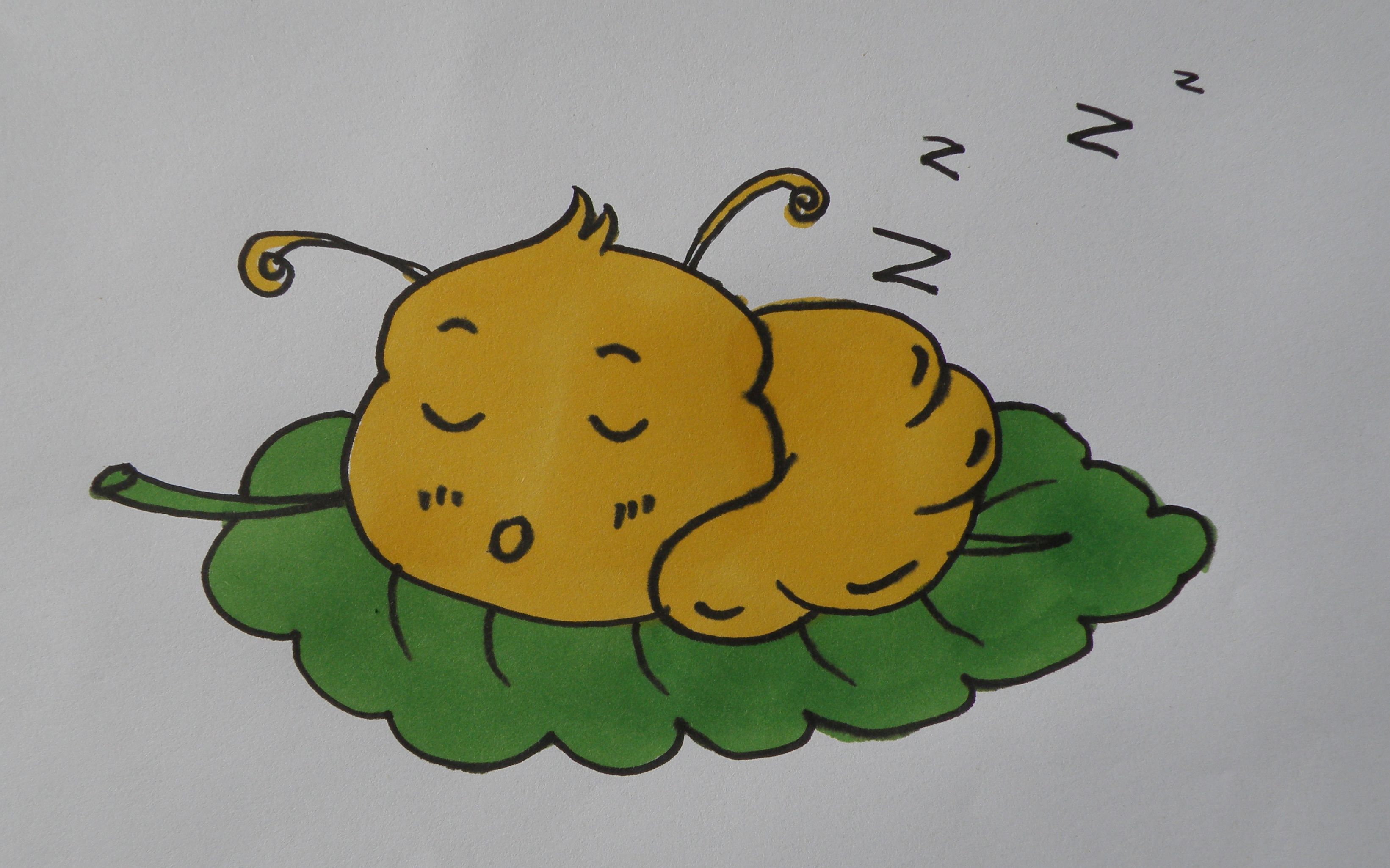 华哥教画画,睡懒觉的小虫子