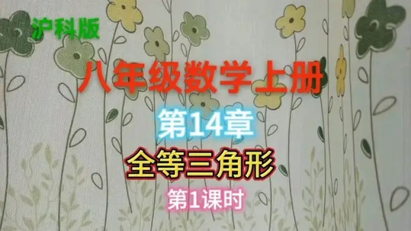 八年级数学上册第14章第一课时:全等三角形的性质