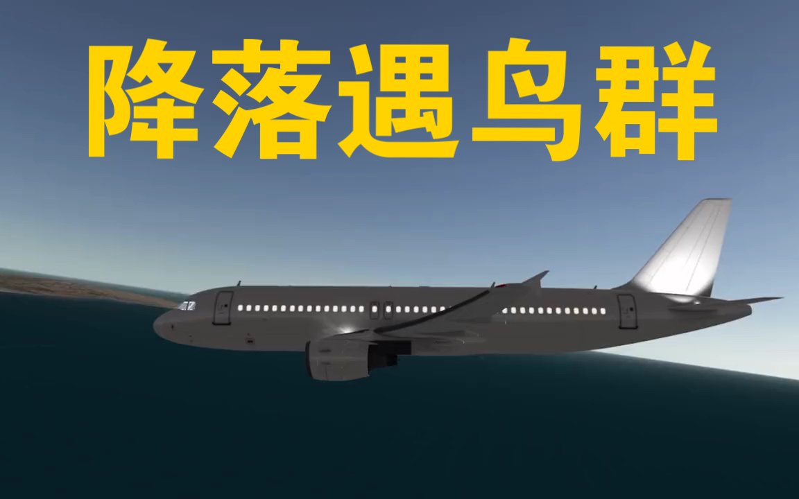 模拟飞行RFS:飞机降落遇鸟群袭击,最后成功降落