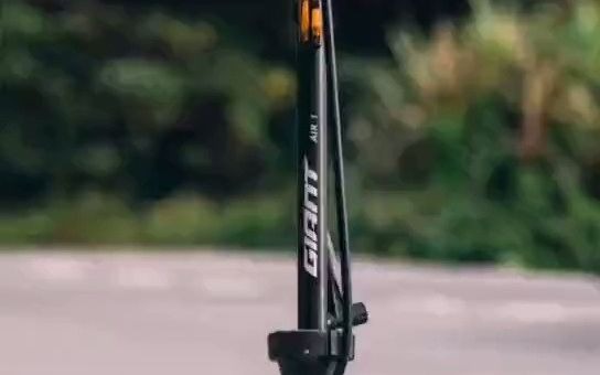 捷安特-骑行装备种草:AIR 1 落地打气筒