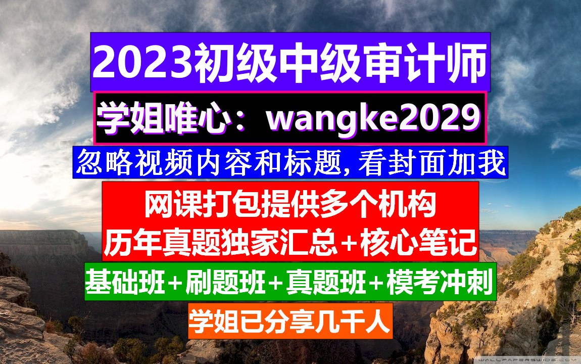 审计师,审计师理论与实务答案,审计师广州考点