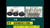 显微镜的结构和功能(1016.191408)