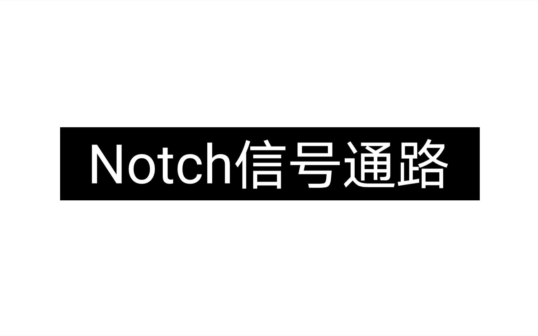 Notch信号通路——带有缺口的梦想