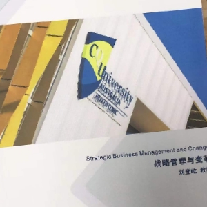 刘登屹新一代战略咨询 