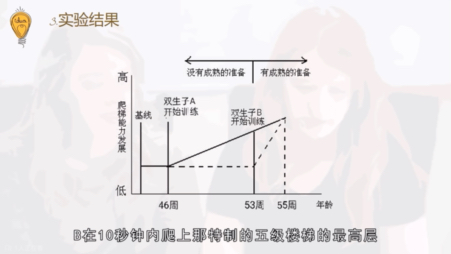 双生子爬梯实验
