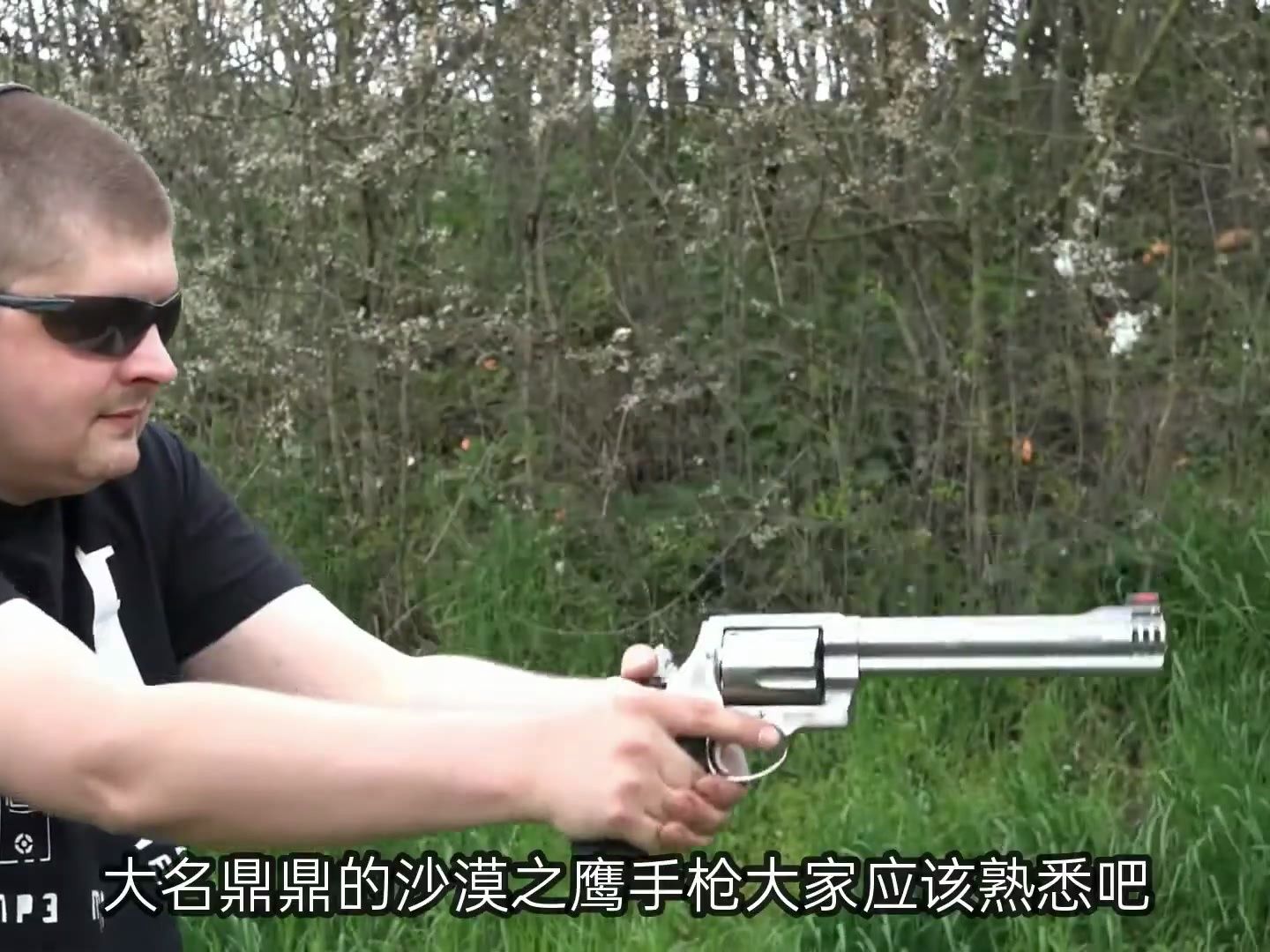 威力大的左轮手枪,M500只排前三,排名第一的是收藏级