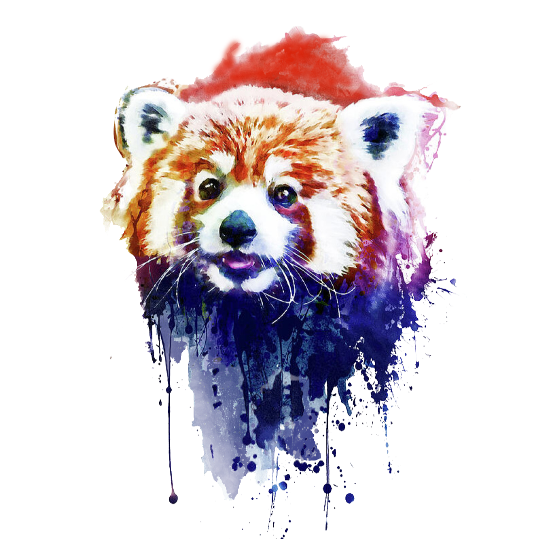 待我-代我-带我 