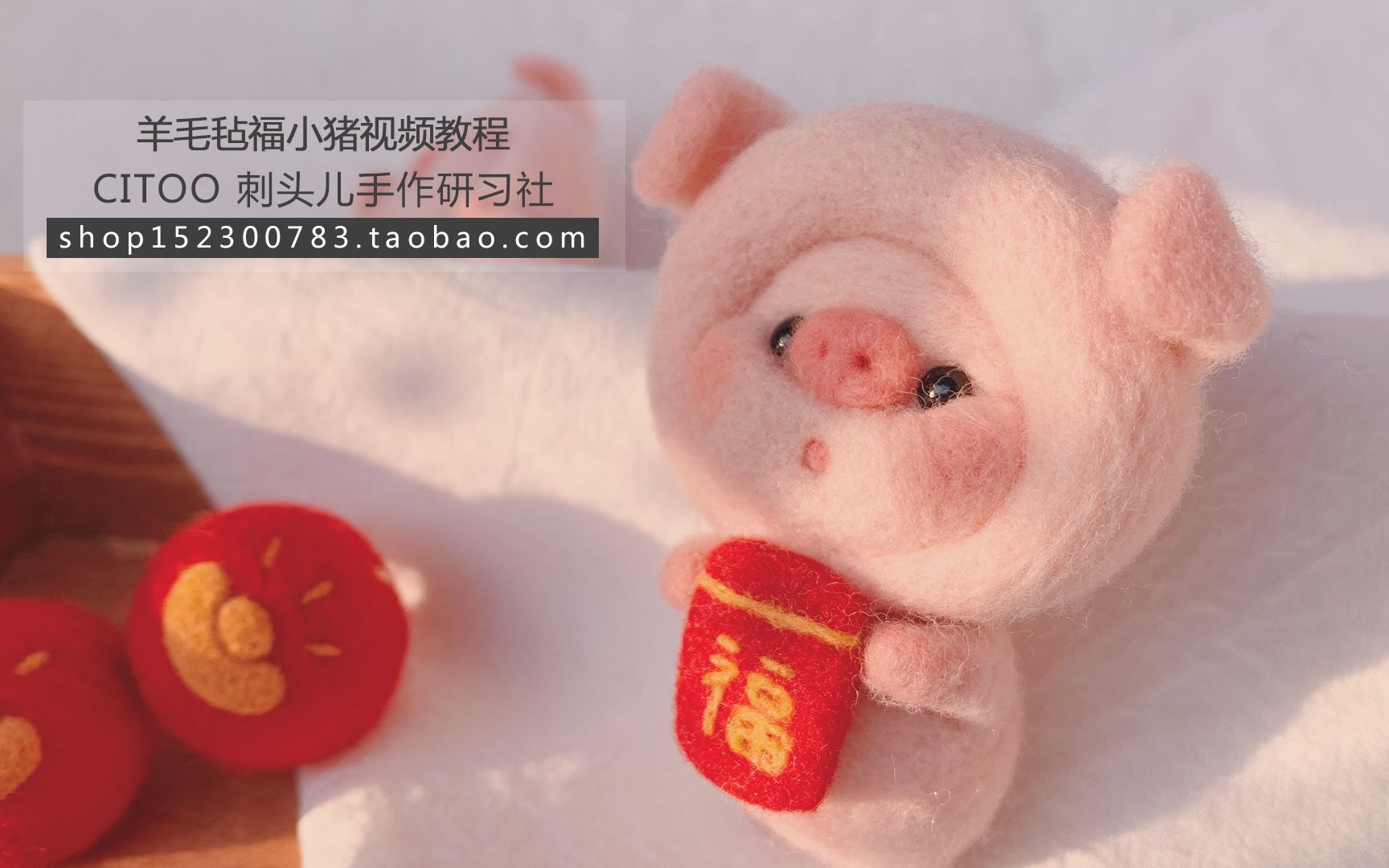 CITOO刺头儿羊毛毡戳戳乐手工DIY福小猪视频教学