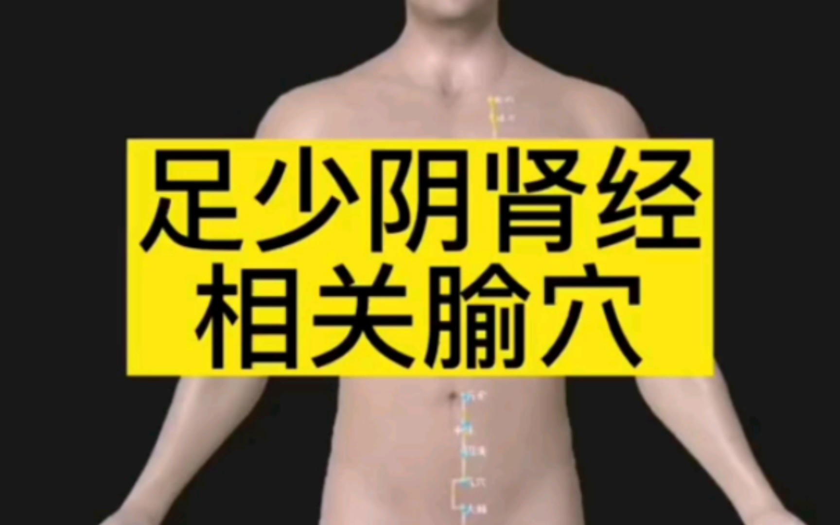 十二经络-足少阴肾经相关腧穴