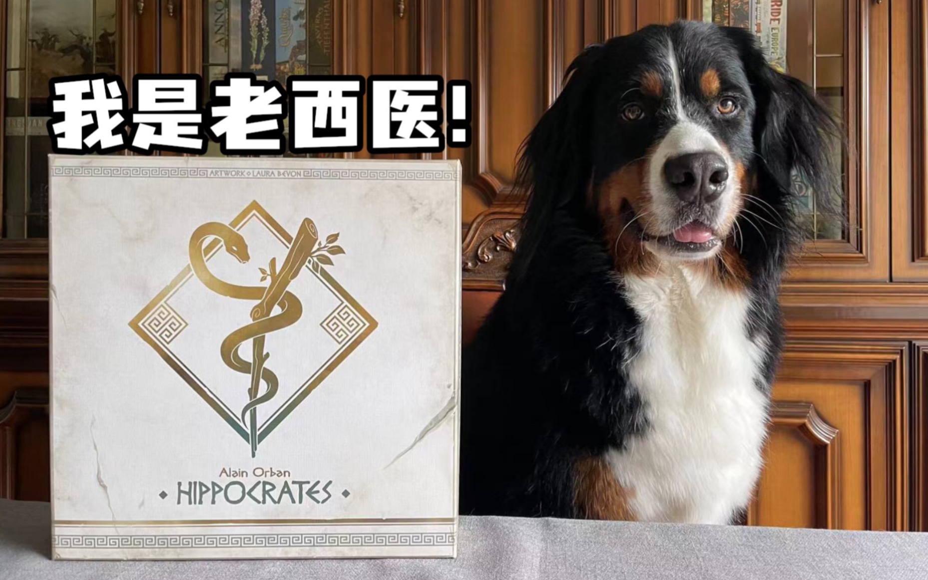 【规则教学】Hippocrates《医学之父》