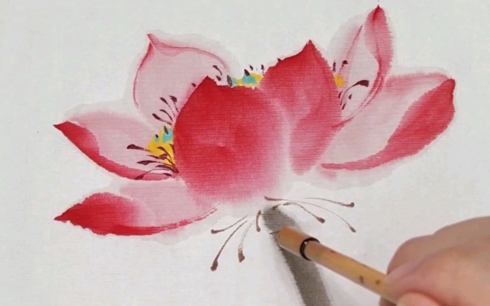 国画荷花详细教程,调颜料都教给你