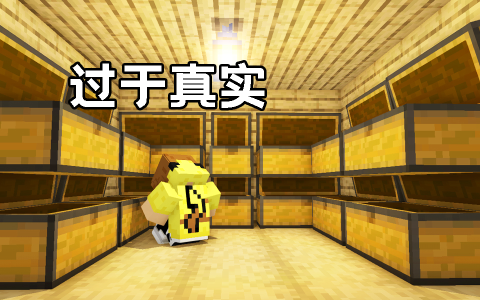 我的世界中过于真实的几个瞬间(十一)