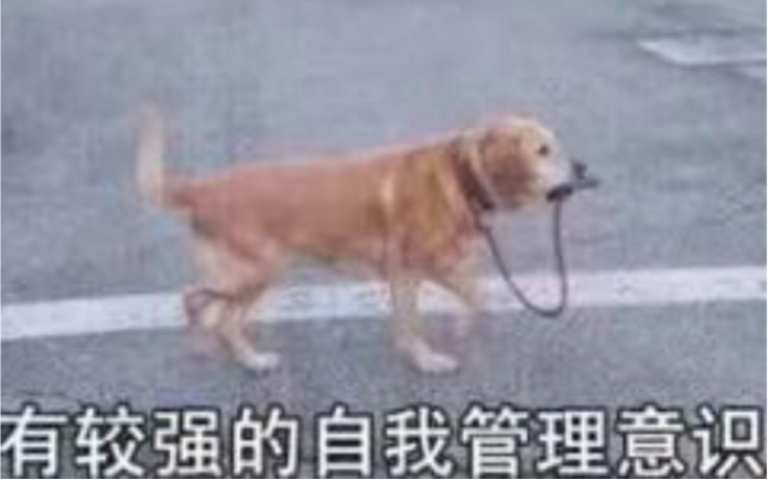 我悟出了找关元穴最最最笨的办法!