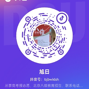 旭日东升16888866 