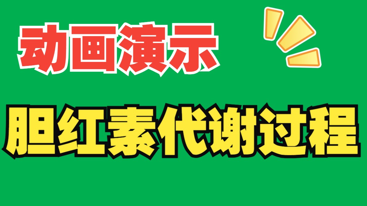 动画演示胆红素的代谢过程-医学知识记忆技巧