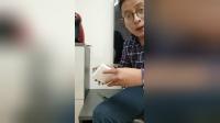 面板AP安装和设置教程